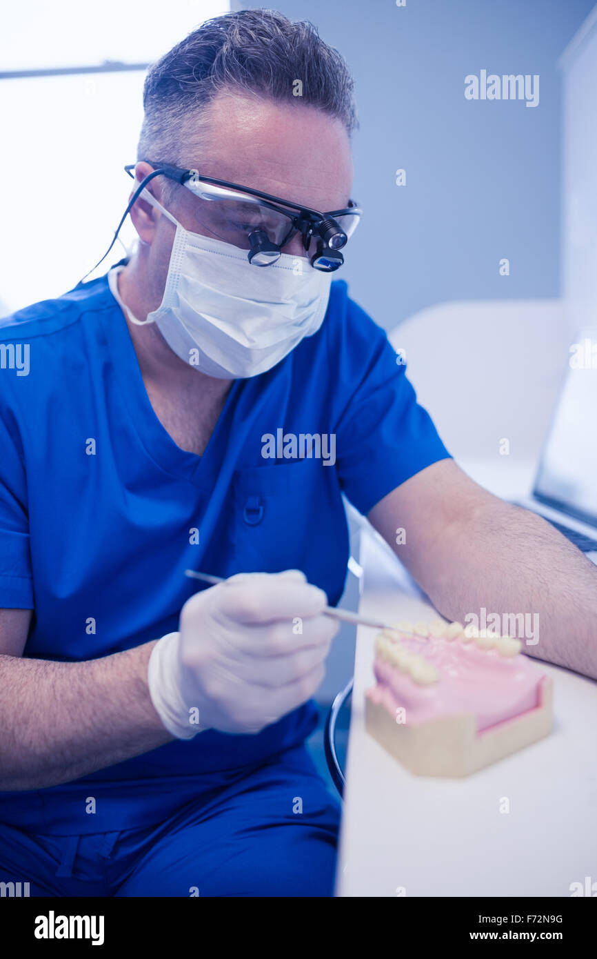 Male dentist looking at mouth model Stock Photo - Alamy