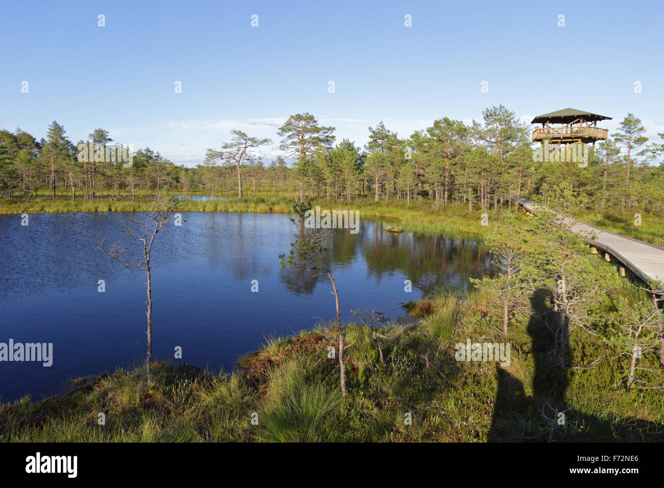 Viru bog nature trail, Lahemaa National Park Stock Photo - Alamy