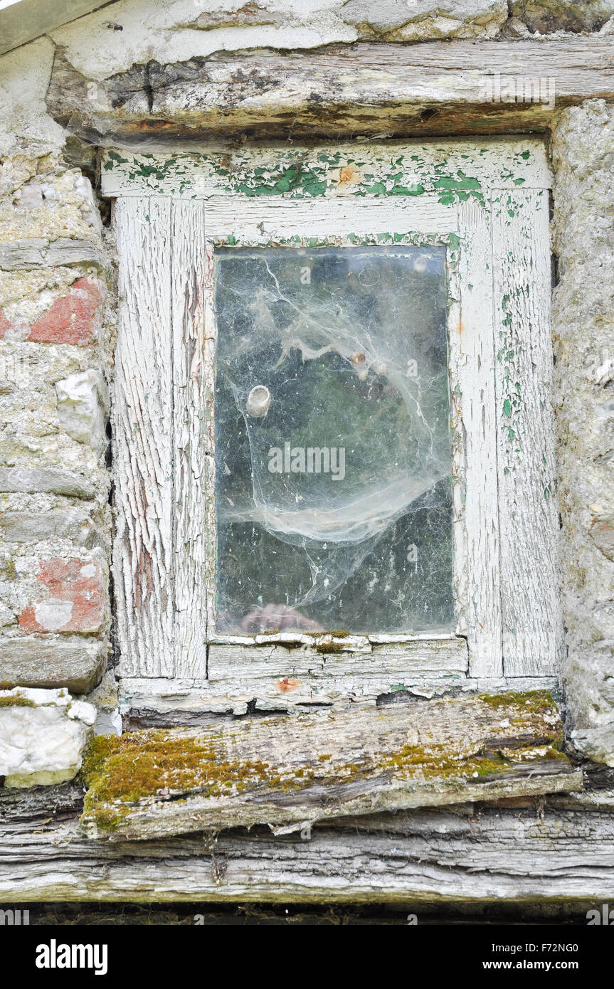 Snails and cobwebs on weathered and dilapidated frame of glassless ...