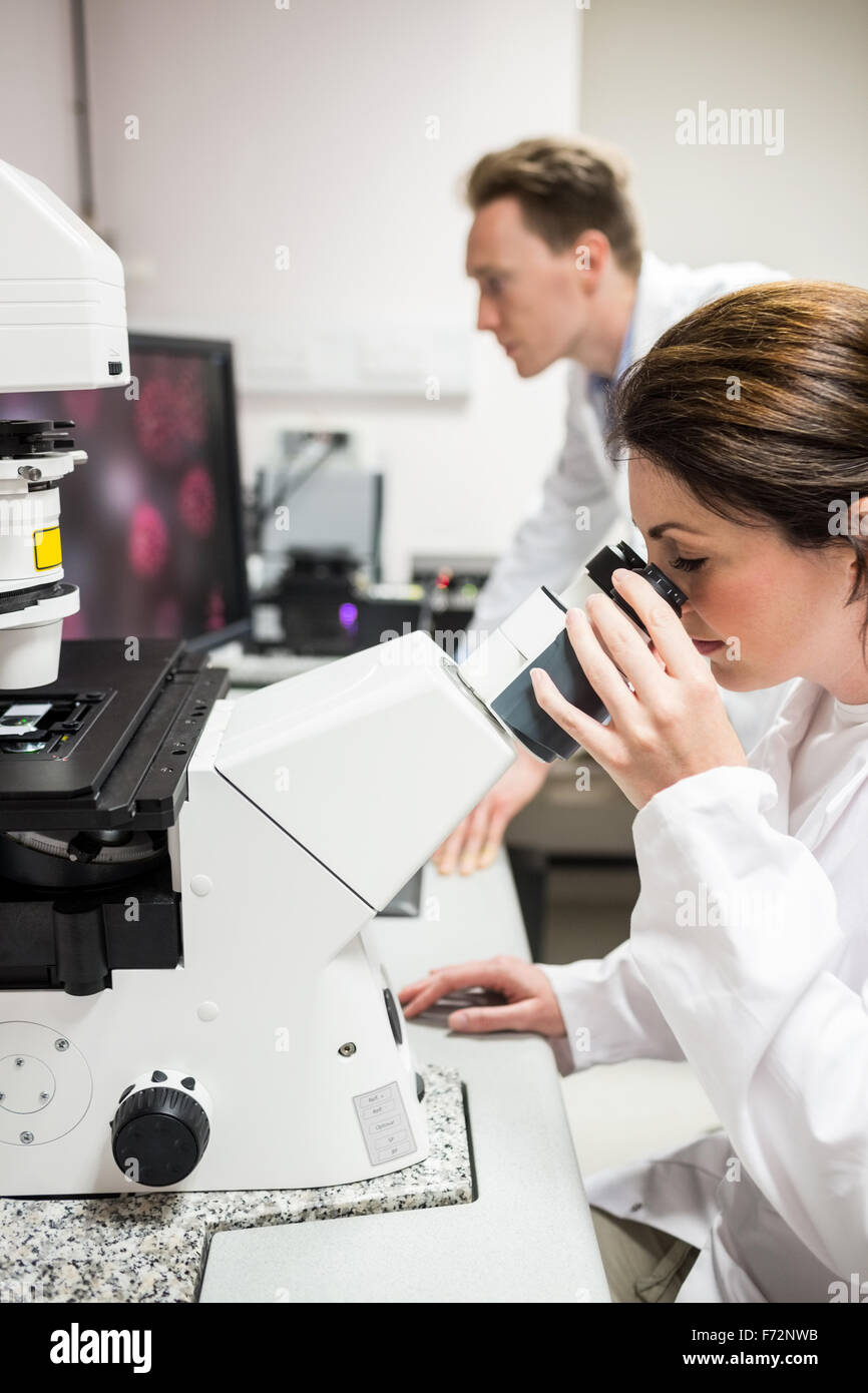 Scientist looking through a microscope Stock Photo - Alamy