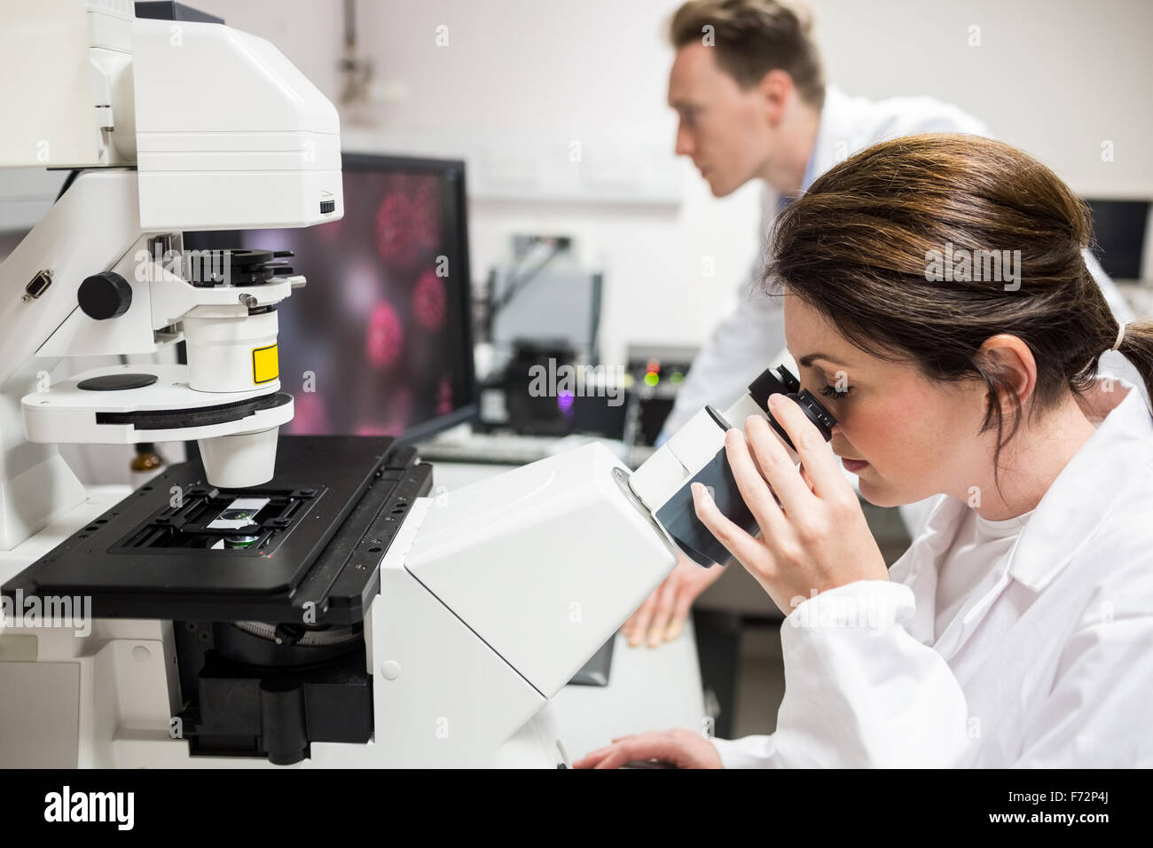 Scientist looking through a microscope Stock Photo - Alamy