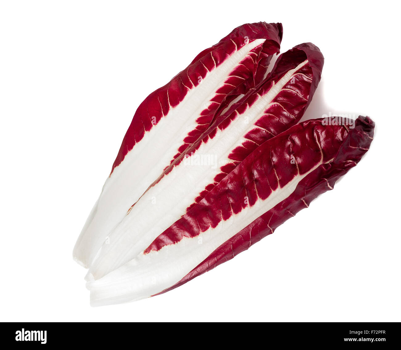 red chicory leaves isolated on white Stock Photo - Alamy