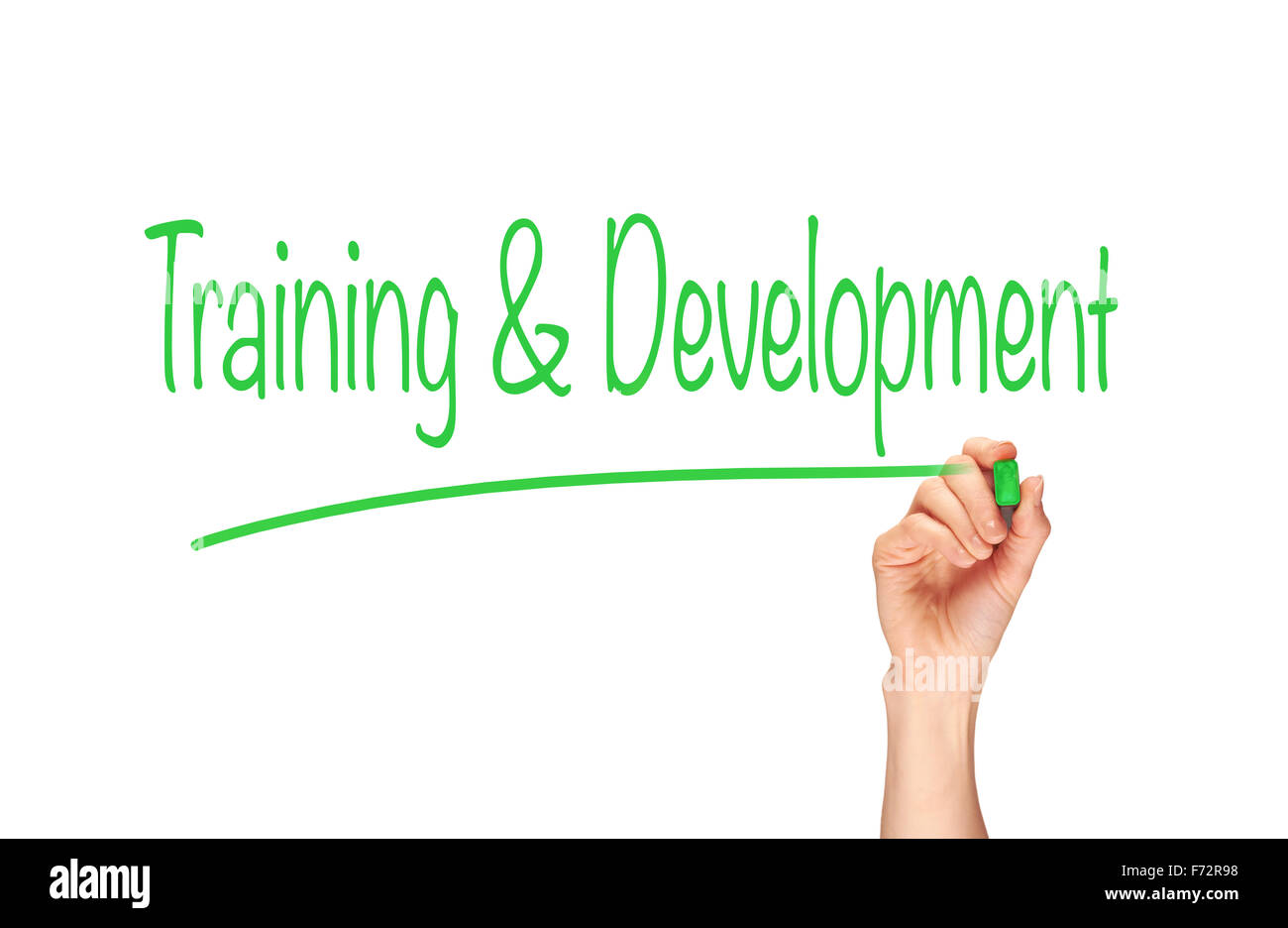 Training And Development Logo