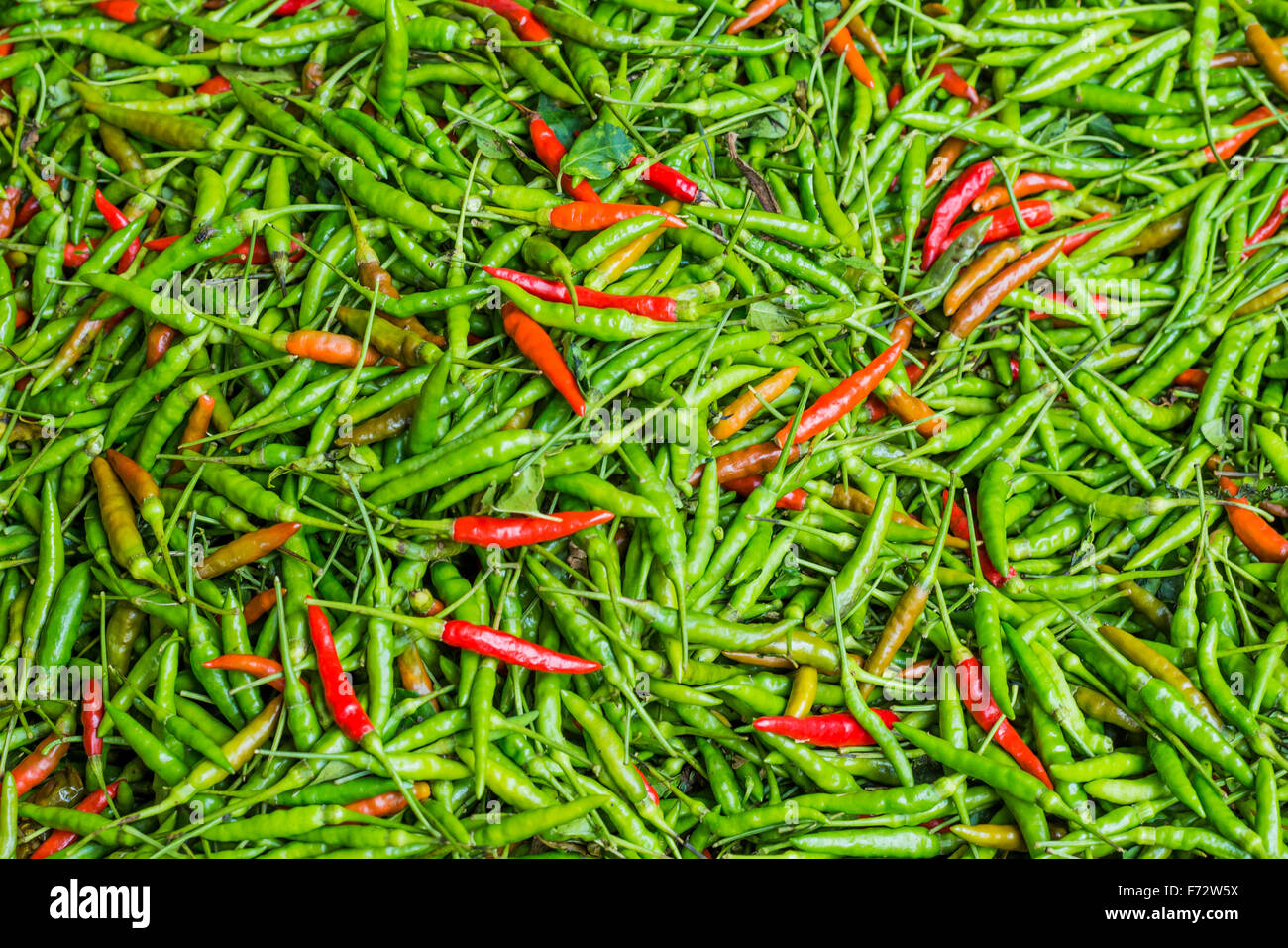Green chili peppers, closeup view Stock Photo - Alamy