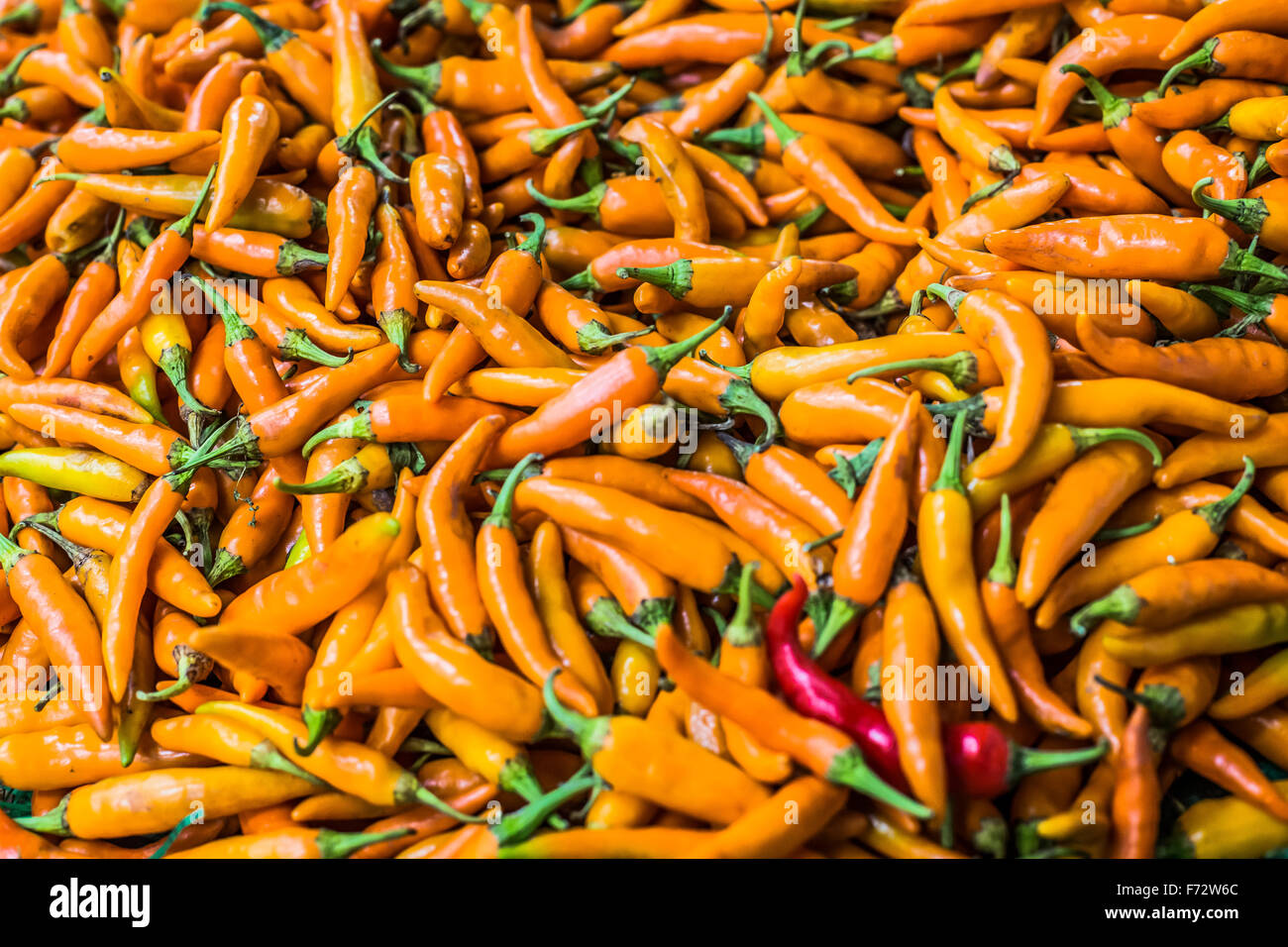 Orange chili peppers, closeup view Stock Photo - Alamy