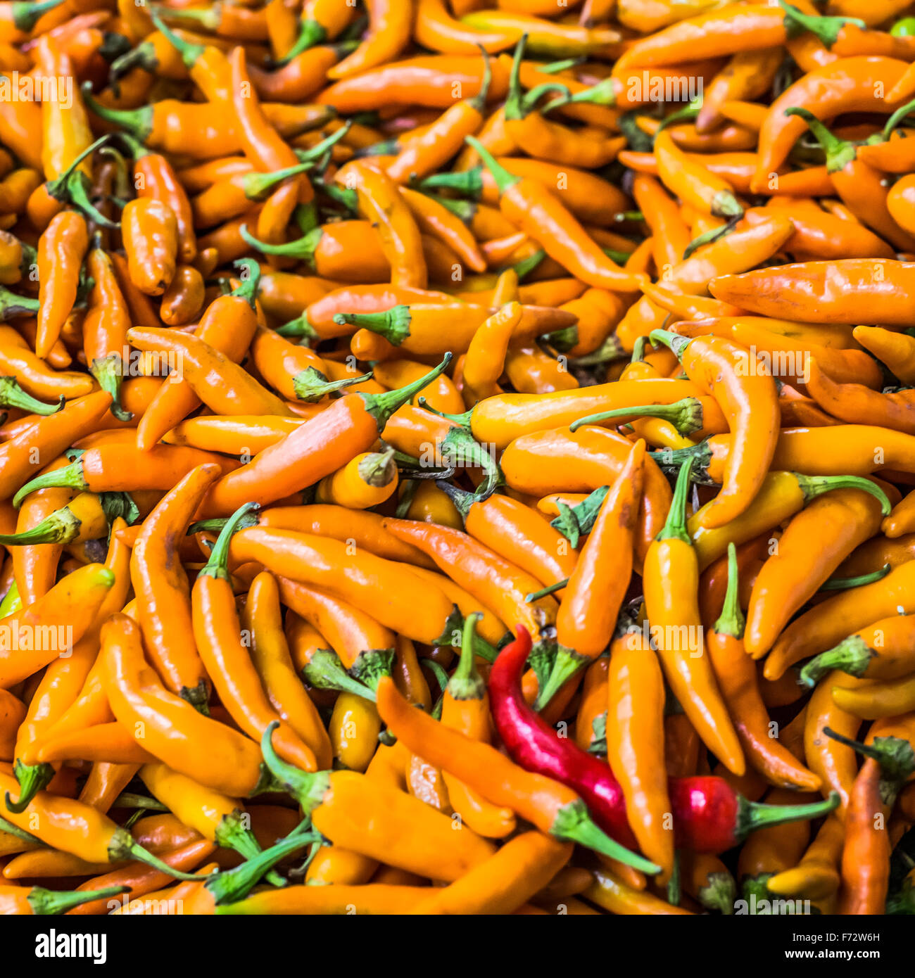 Orange chili peppers, closeup view Stock Photo - Alamy