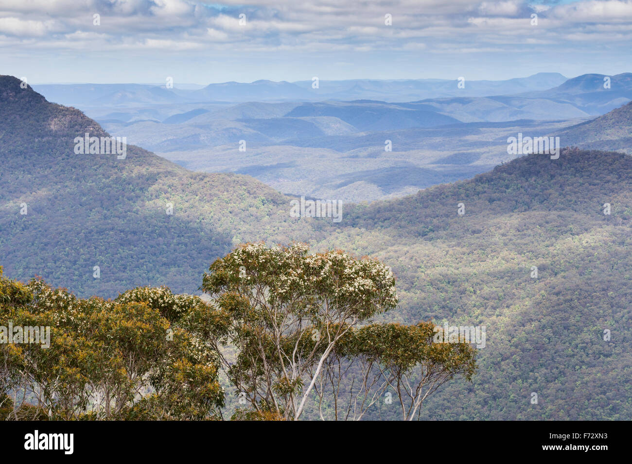 The famous Three Sisters rock formation in the Blue Mountains National ...