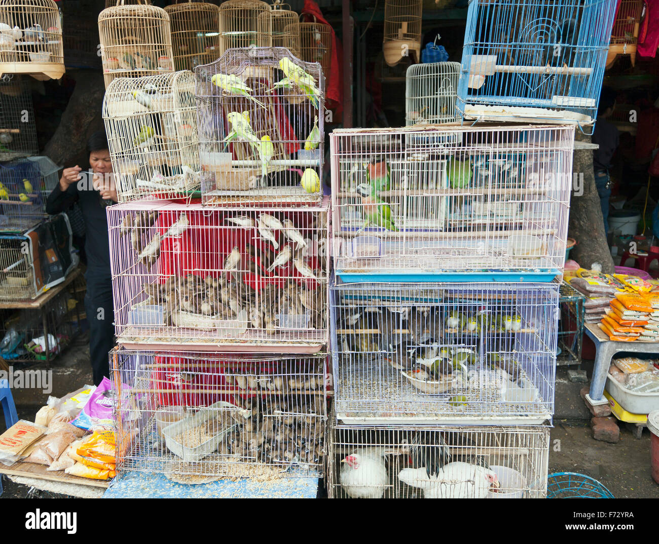 Birds and animals market hi-res stock photography and images - Alamy