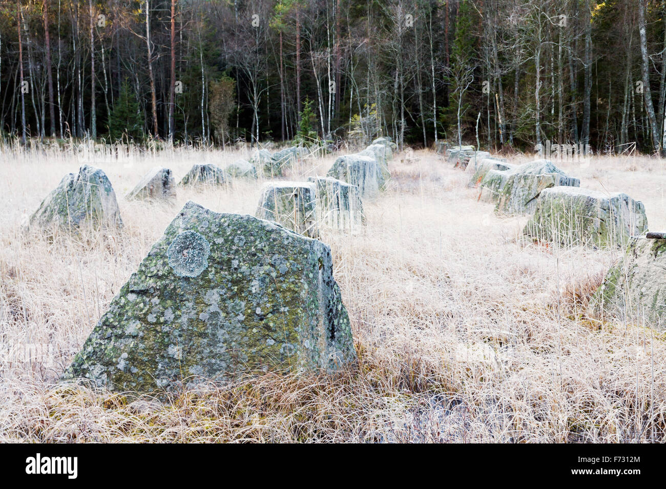 Dragon's-teeth redoubt WW2 Stock Photo - Alamy