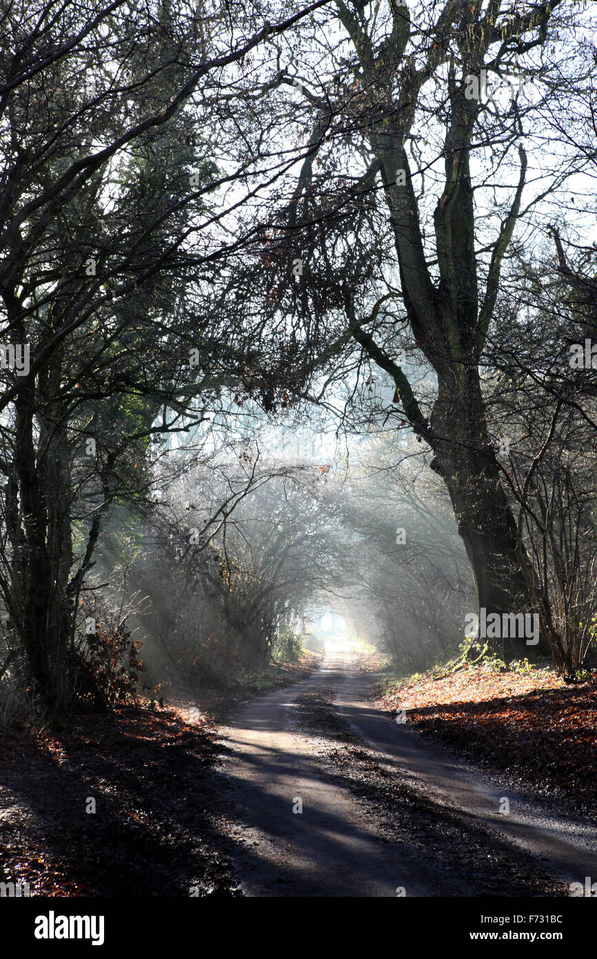 Jane Austen's walk to the church at Steventon, Hampshire, UK, where she ...