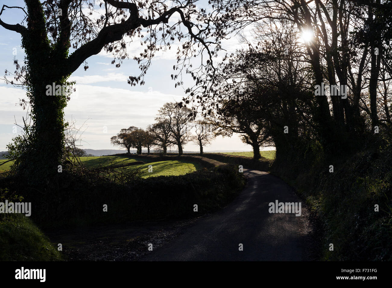 Village lane near Dunsford,dartmoor national park,devon lane,tarmac ...