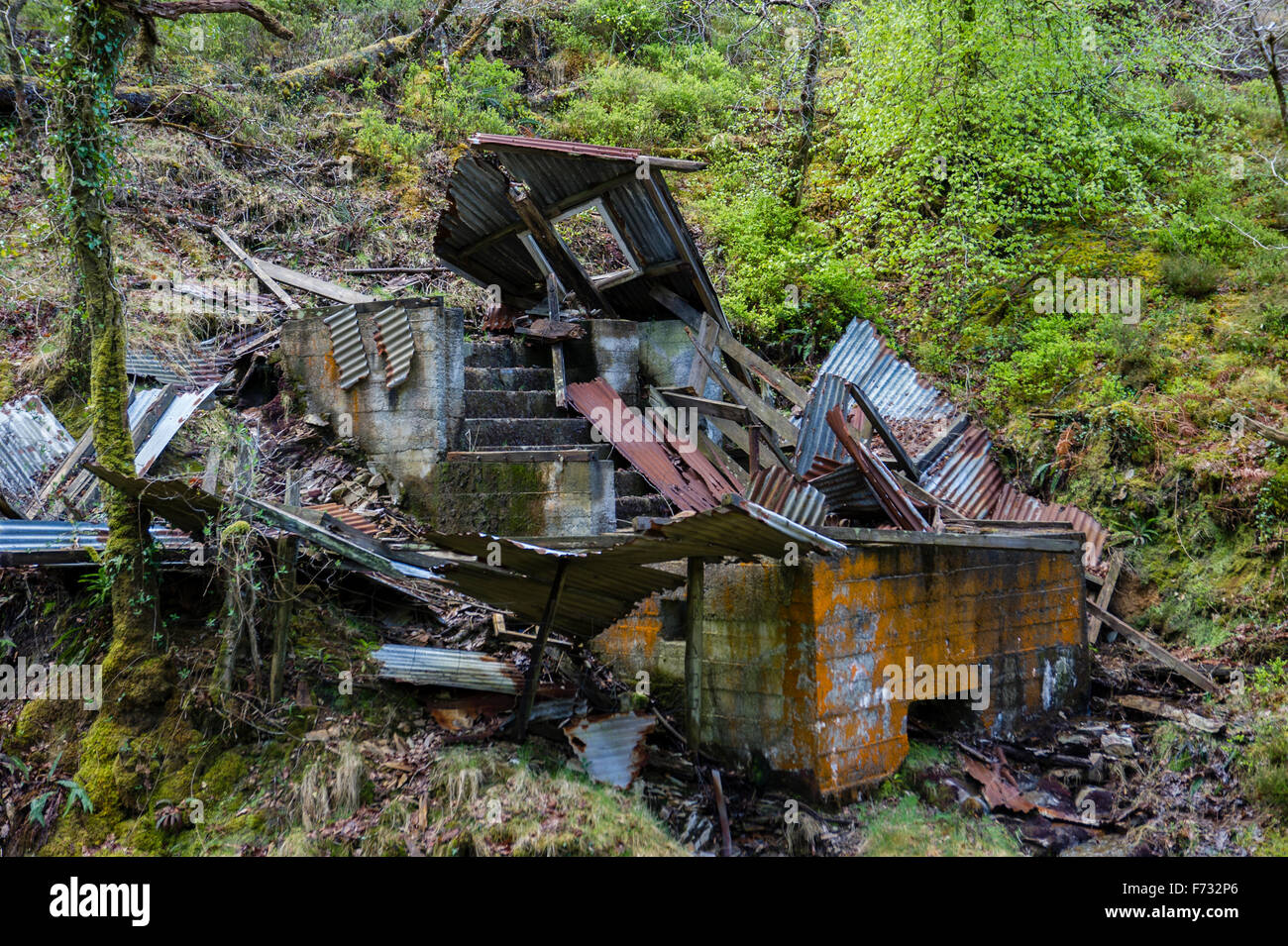 Ruined building of disused copper mine in woodlands in North Wales ...