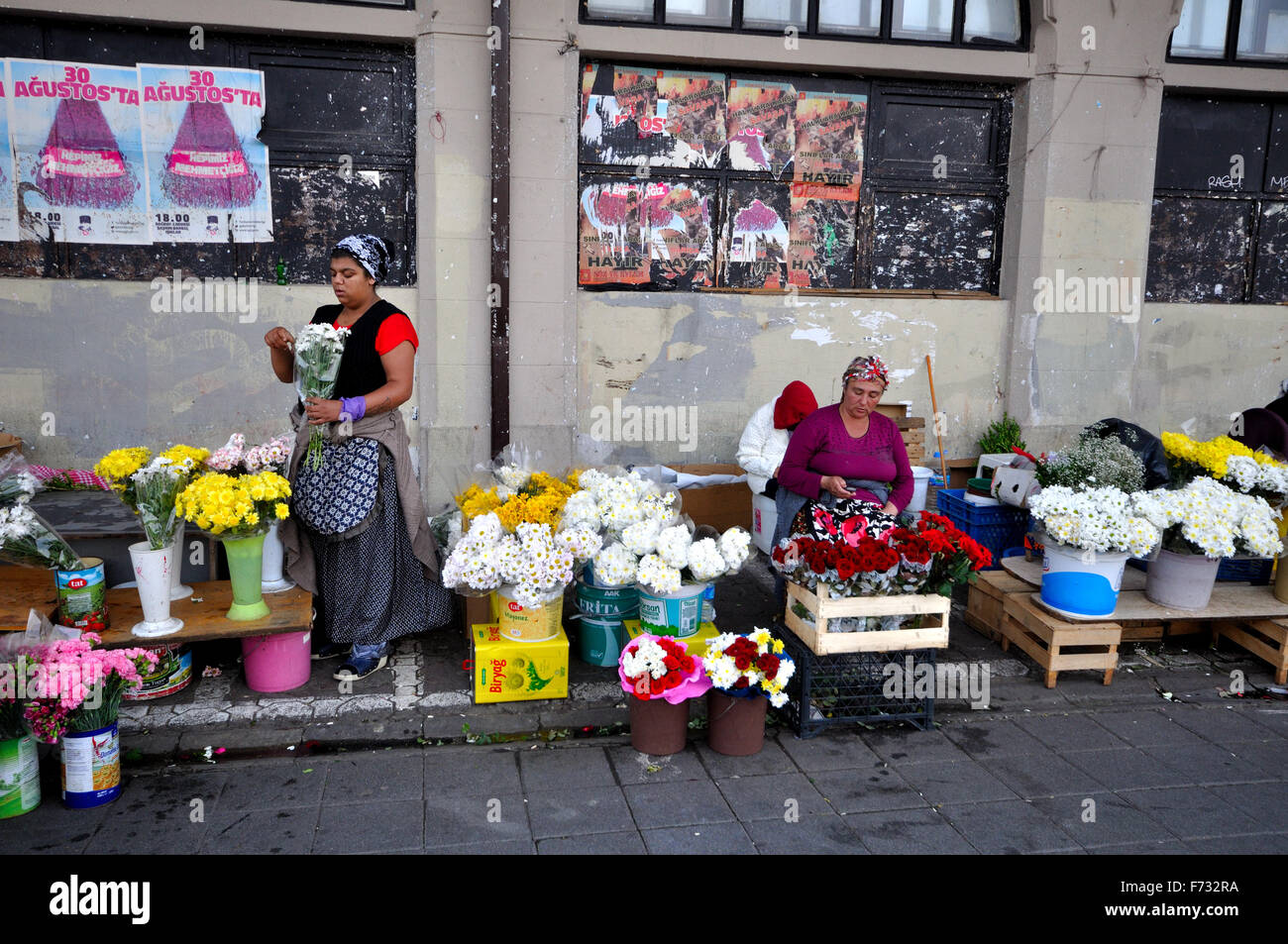 Flower of constantinople hi-res stock photography and images - Alamy