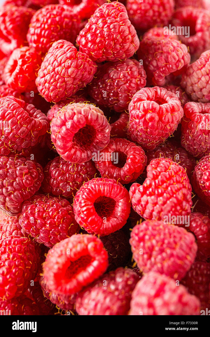 A beautiful selection of freshly picked ripe red raspberries Stock ...