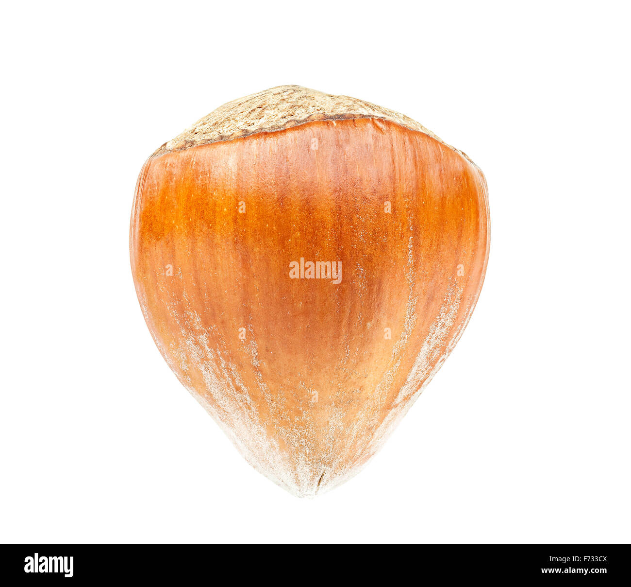 High quality macro picture of hazelnut, isolated on white Stock Photo ...