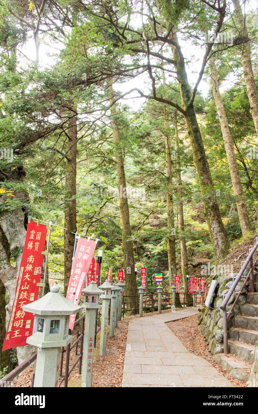 Autumn colors,Oyama-dera temple,Mt Oyama,Isehara city,Kanagawa ...