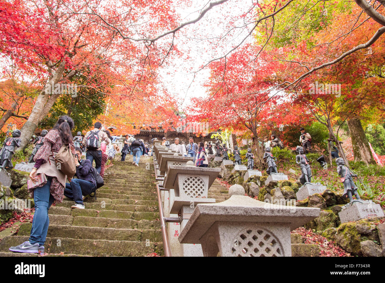 Autumn colors,Oyama-dera temple,Mt Oyama,Isehara city,Kanagawa ...