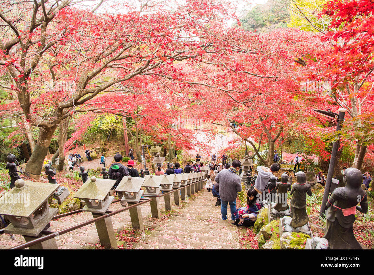 Autumn colors,Oyama-dera temple,Mt Oyama,Isehara city,Kanagawa ...