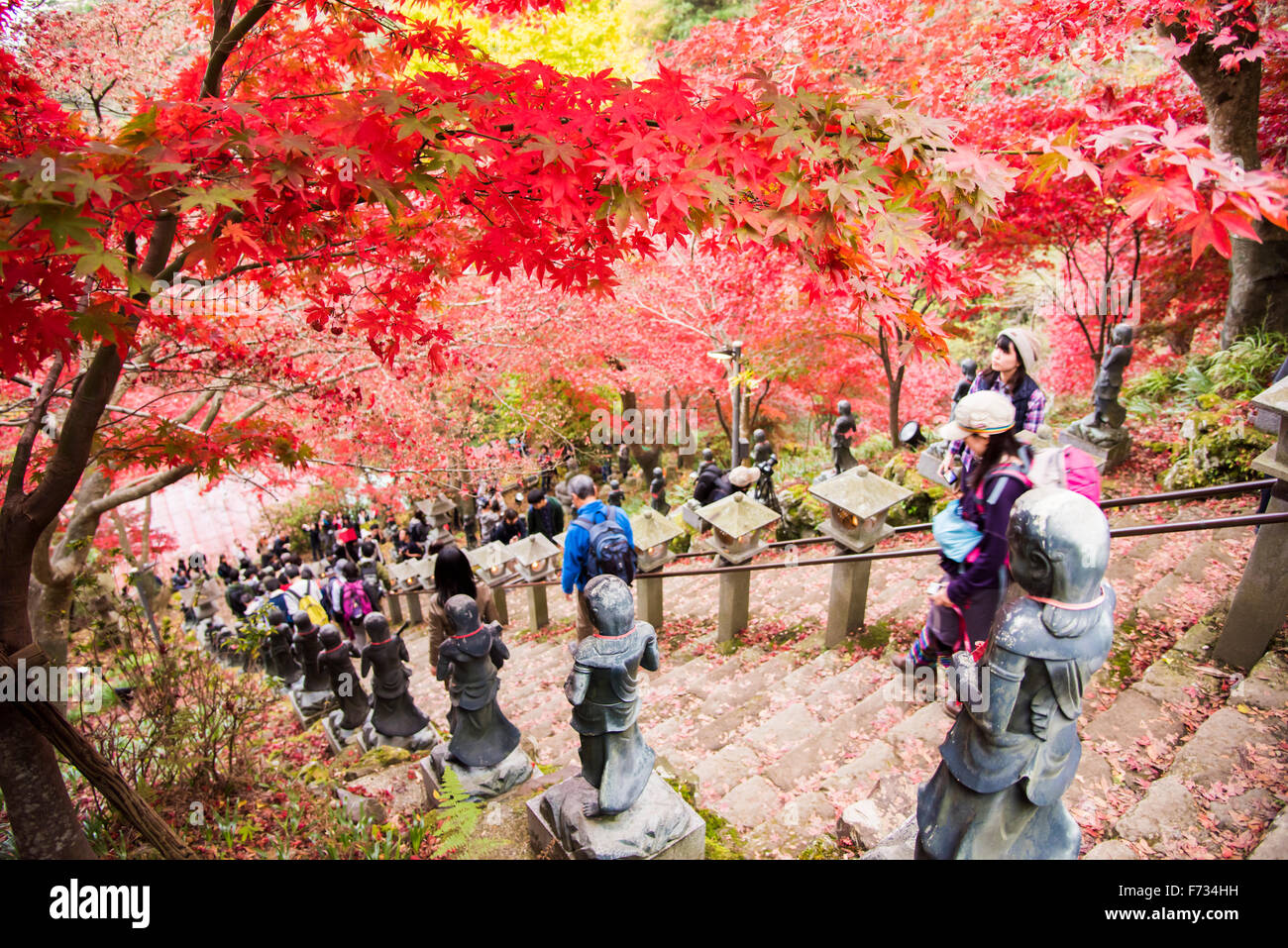Autumn colors,Oyama-dera temple,Mt Oyama,Isehara city,Kanagawa ...