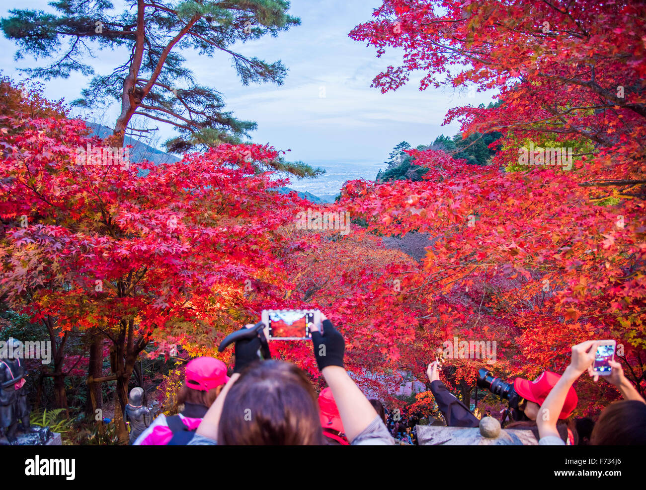 Autumn colors,Oyama-dera temple,Mt Oyama,Isehara city,Kanagawa ...