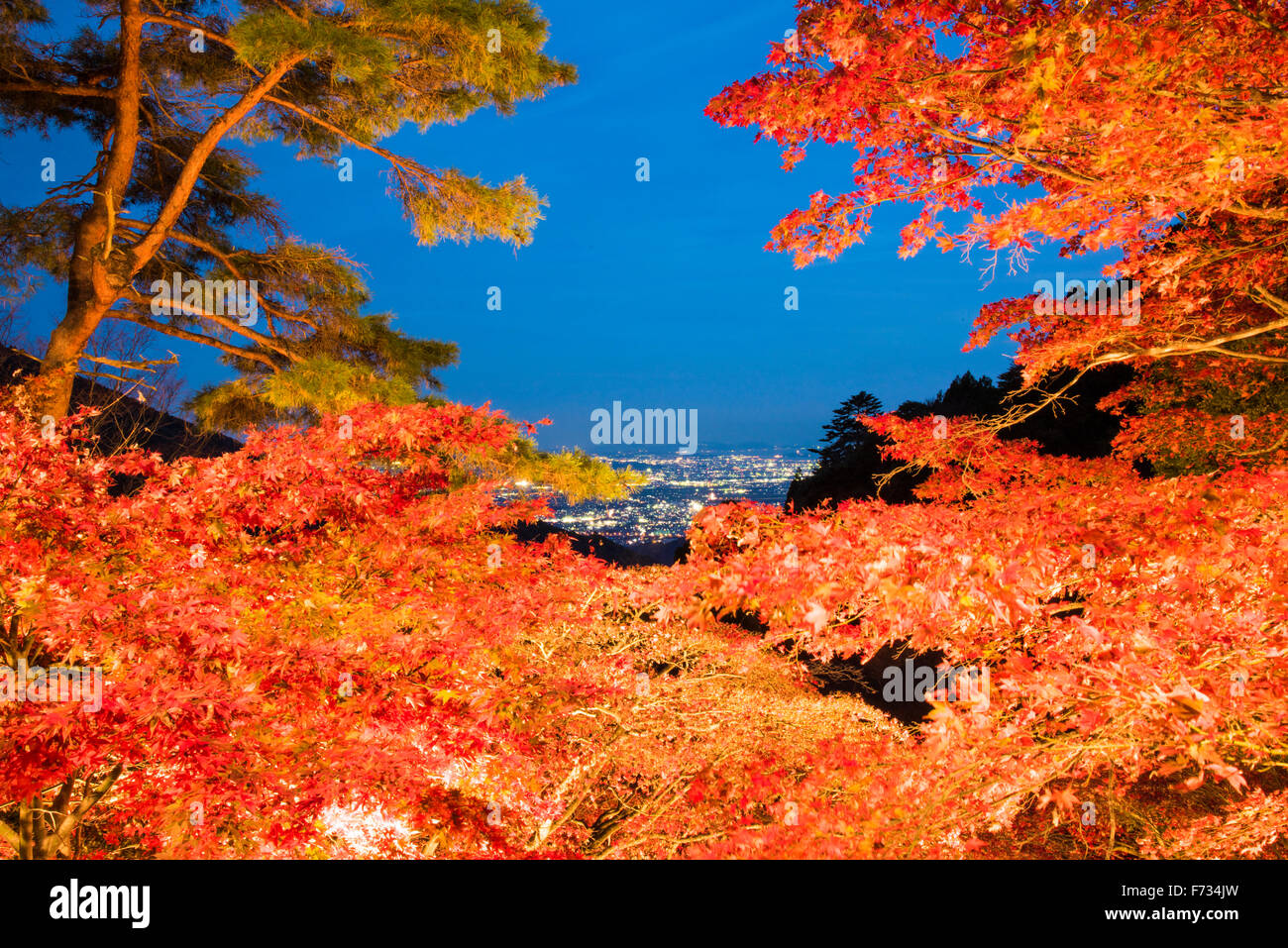 Autumn colors,Oyama-dera temple,Mt Oyama,Isehara city,Kanagawa ...