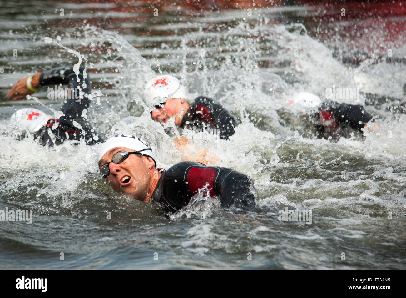 A triathlete swimmer in the 2014 Jenson Button Trust Triathlon Stock ...