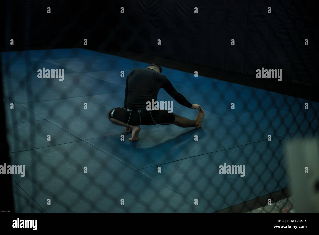 MMA fighter training Stock Photo - Alamy