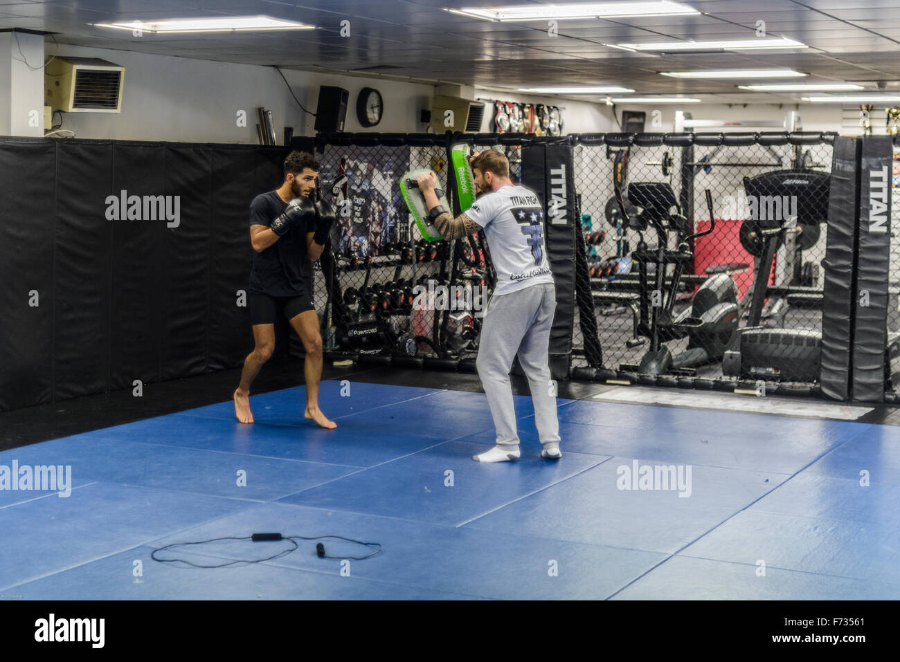 MMA fighter training Stock Photo - Alamy