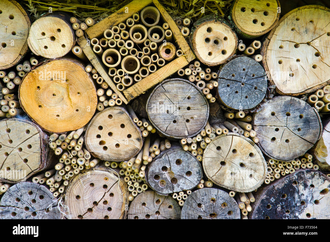 Bamboo logs hi-res stock photography and images - Alamy