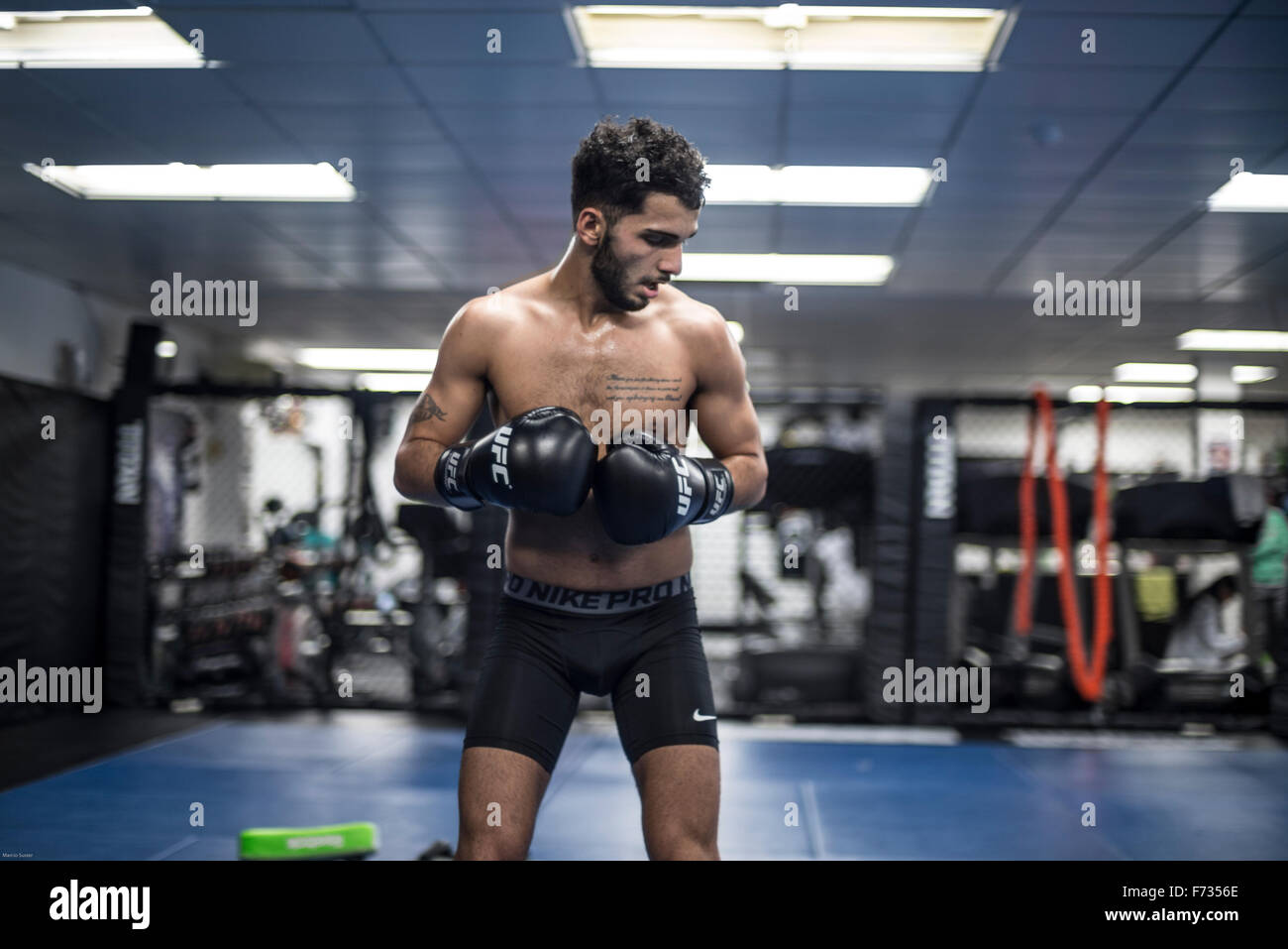 MMA fighter training Stock Photo - Alamy