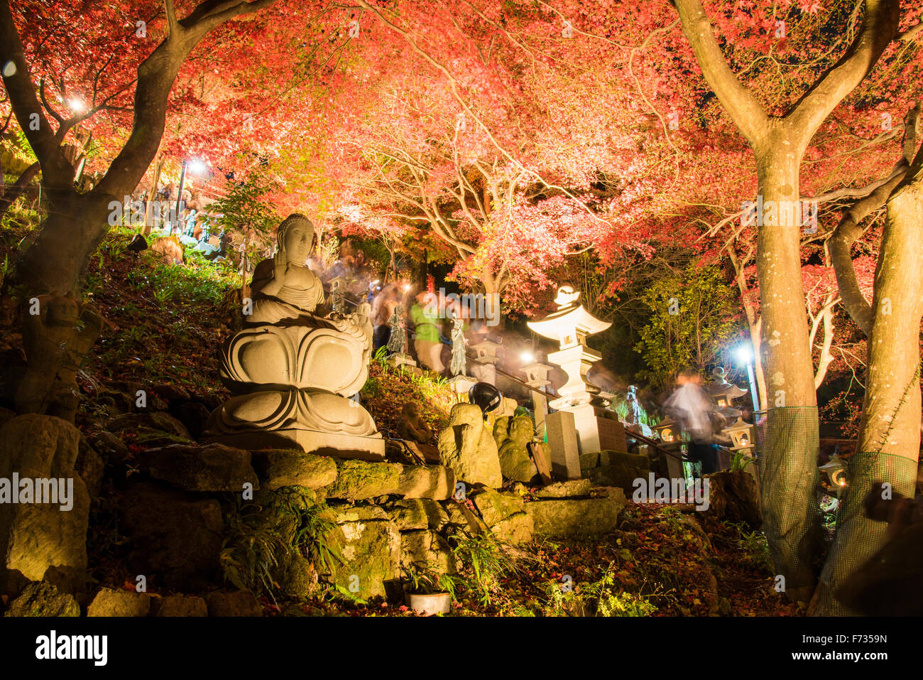 Autumn colors,Oyama-dera temple,Mt Oyama,Isehara city,Kanagawa ...