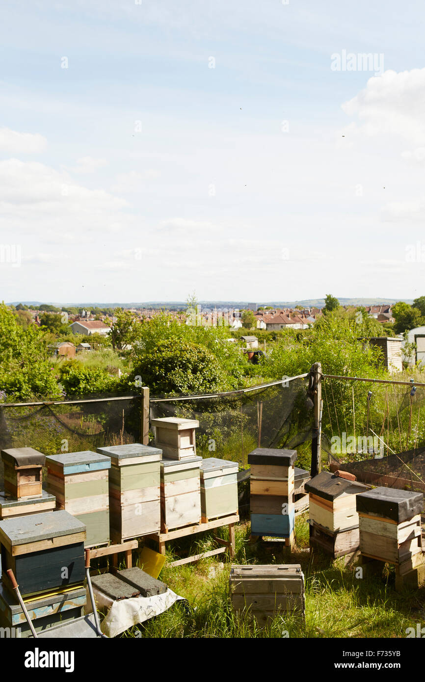 A collection of beehives in the corner of an allotment in a city Stock ...