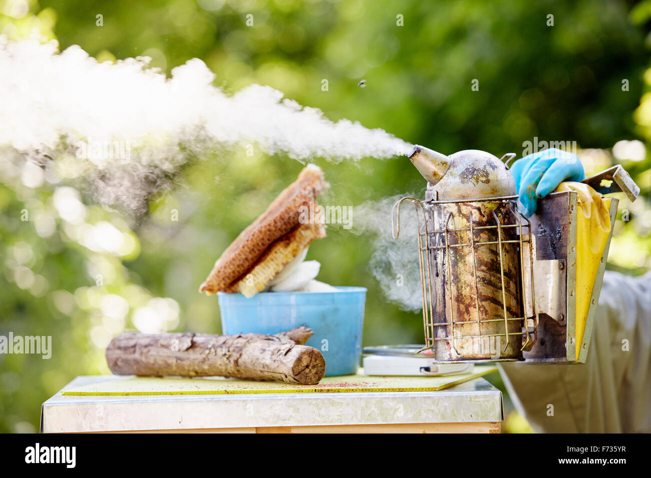 Holding metal smoker beekeeper hi-res stock photography and images - Alamy