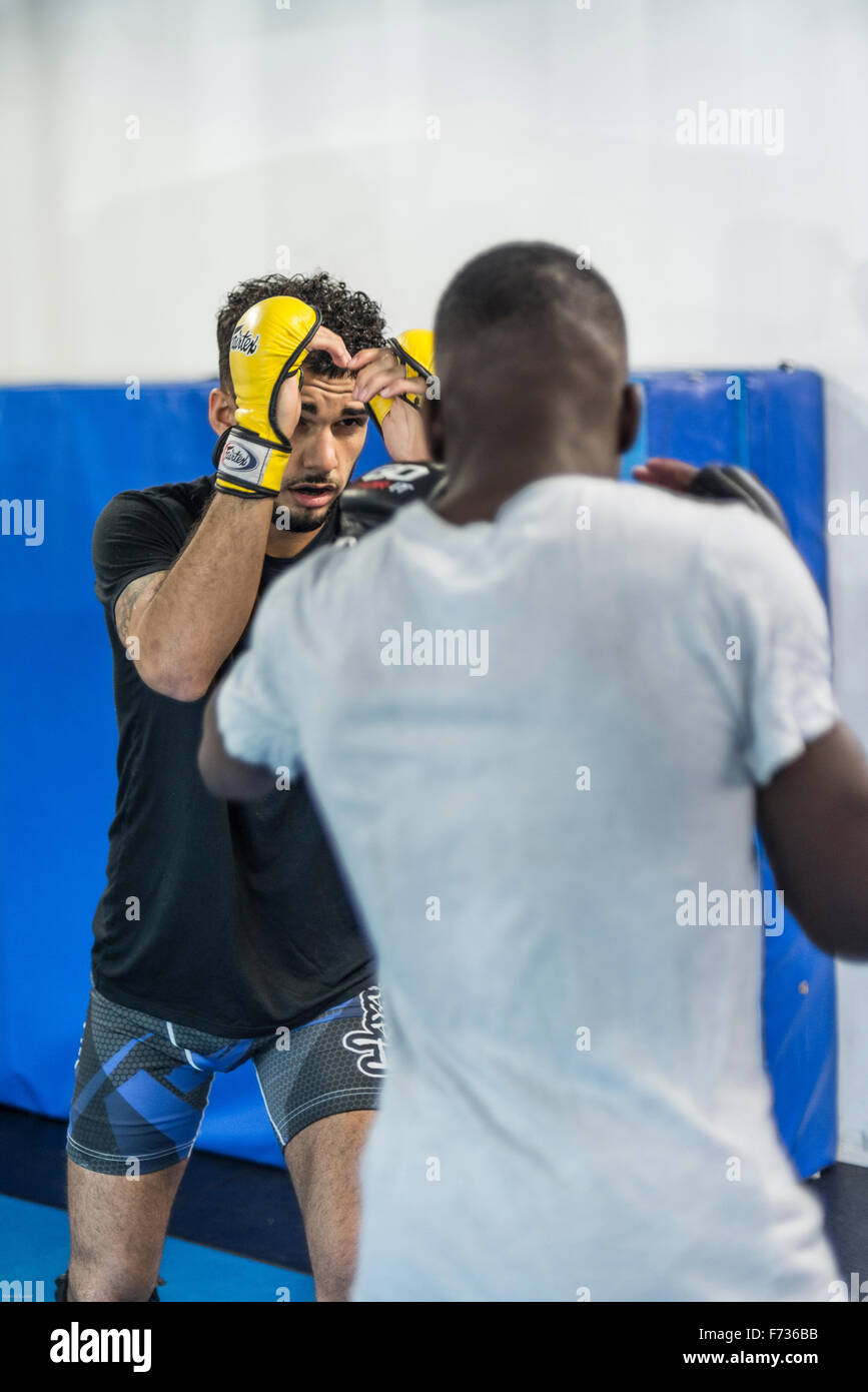 MMA fighter training Stock Photo - Alamy