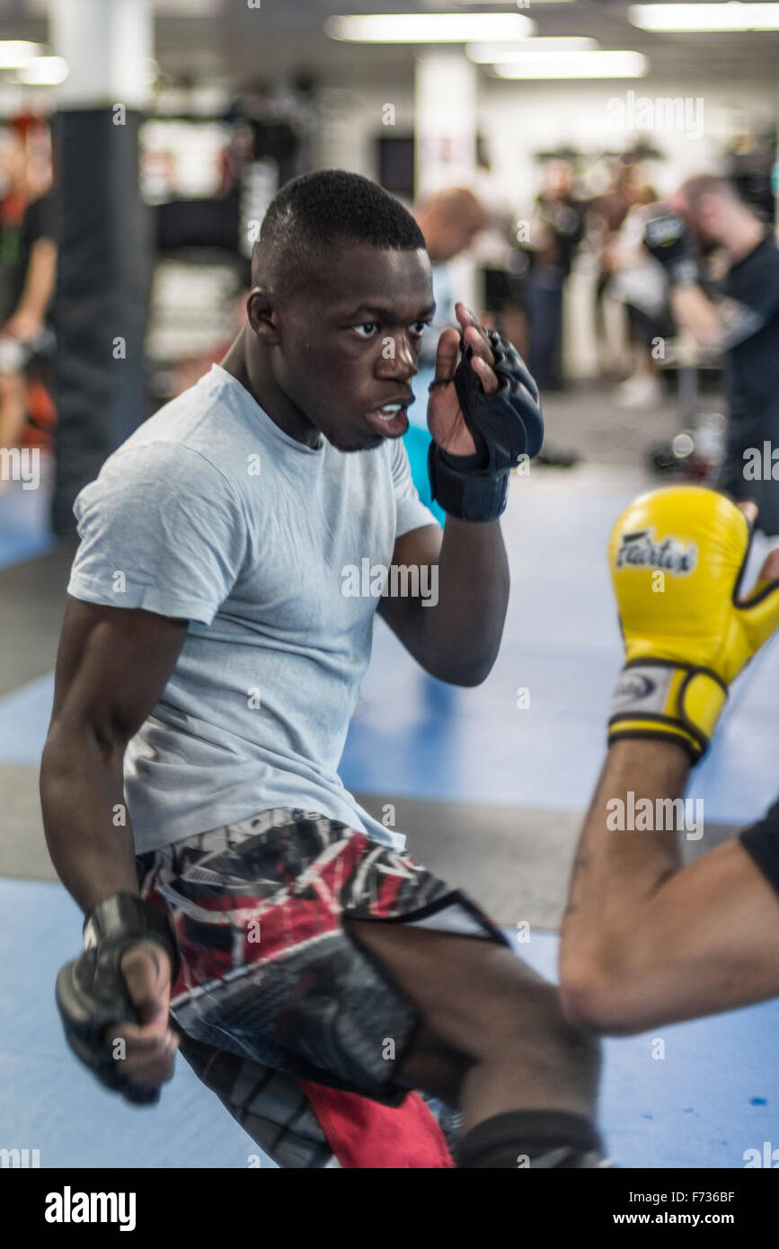 MMA fighter training Stock Photo - Alamy