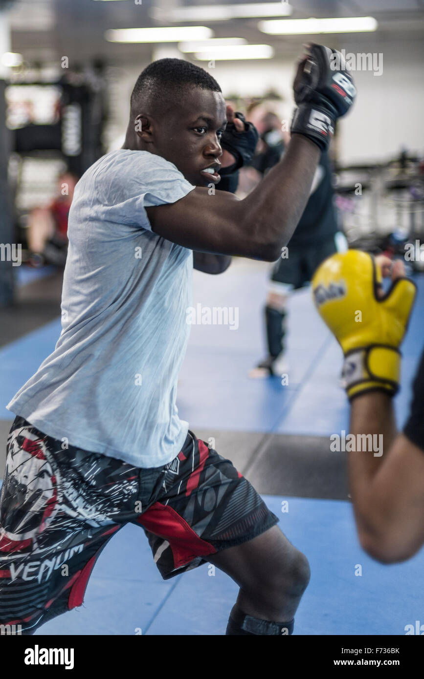 MMA fighter training Stock Photo - Alamy