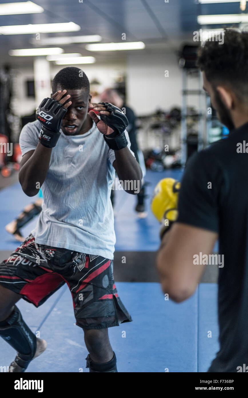 MMA fighter training Stock Photo - Alamy