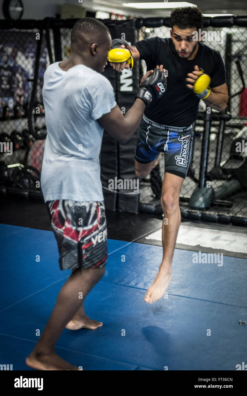 MMA fighter training Stock Photo - Alamy