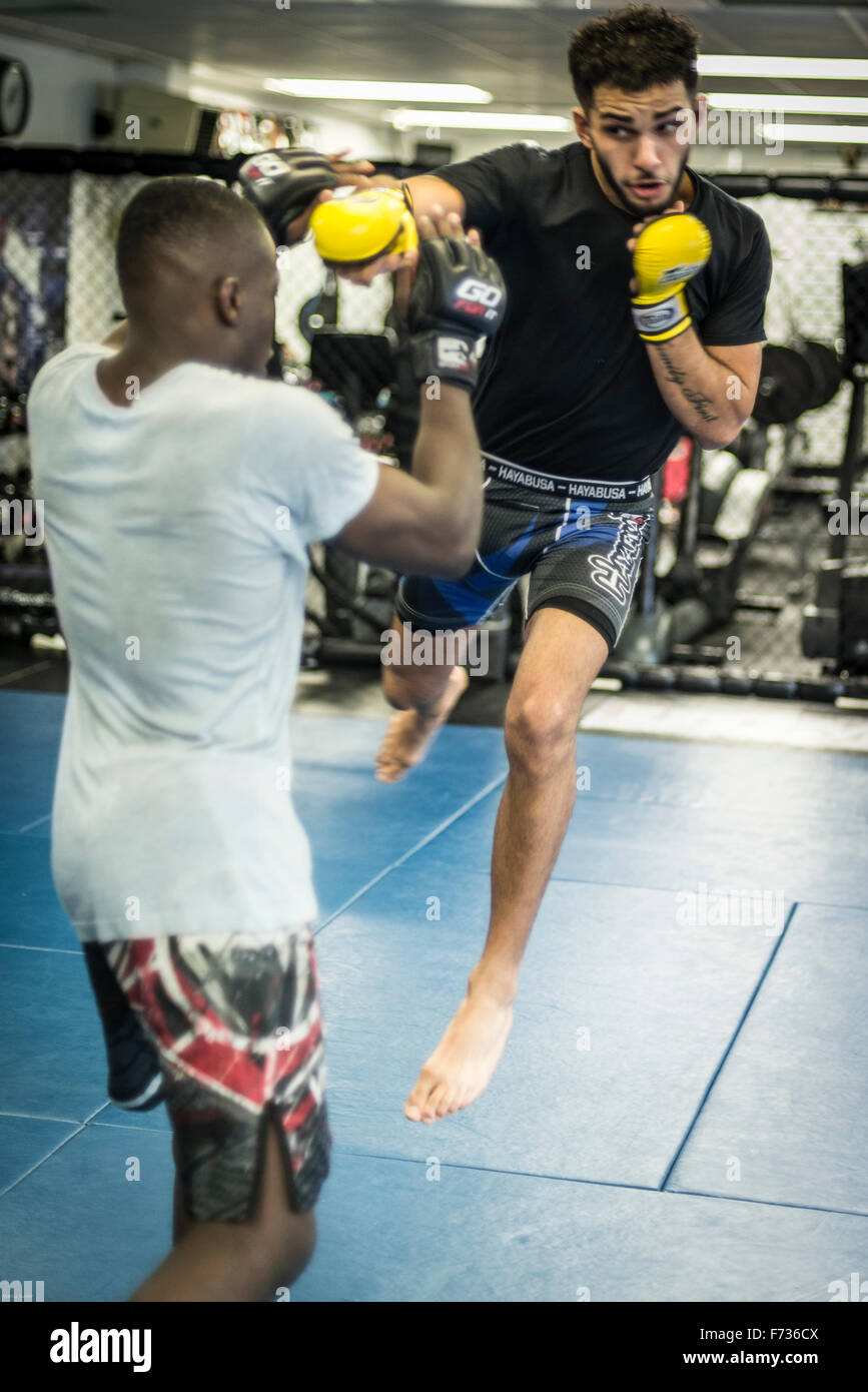 MMA fighter training Stock Photo - Alamy