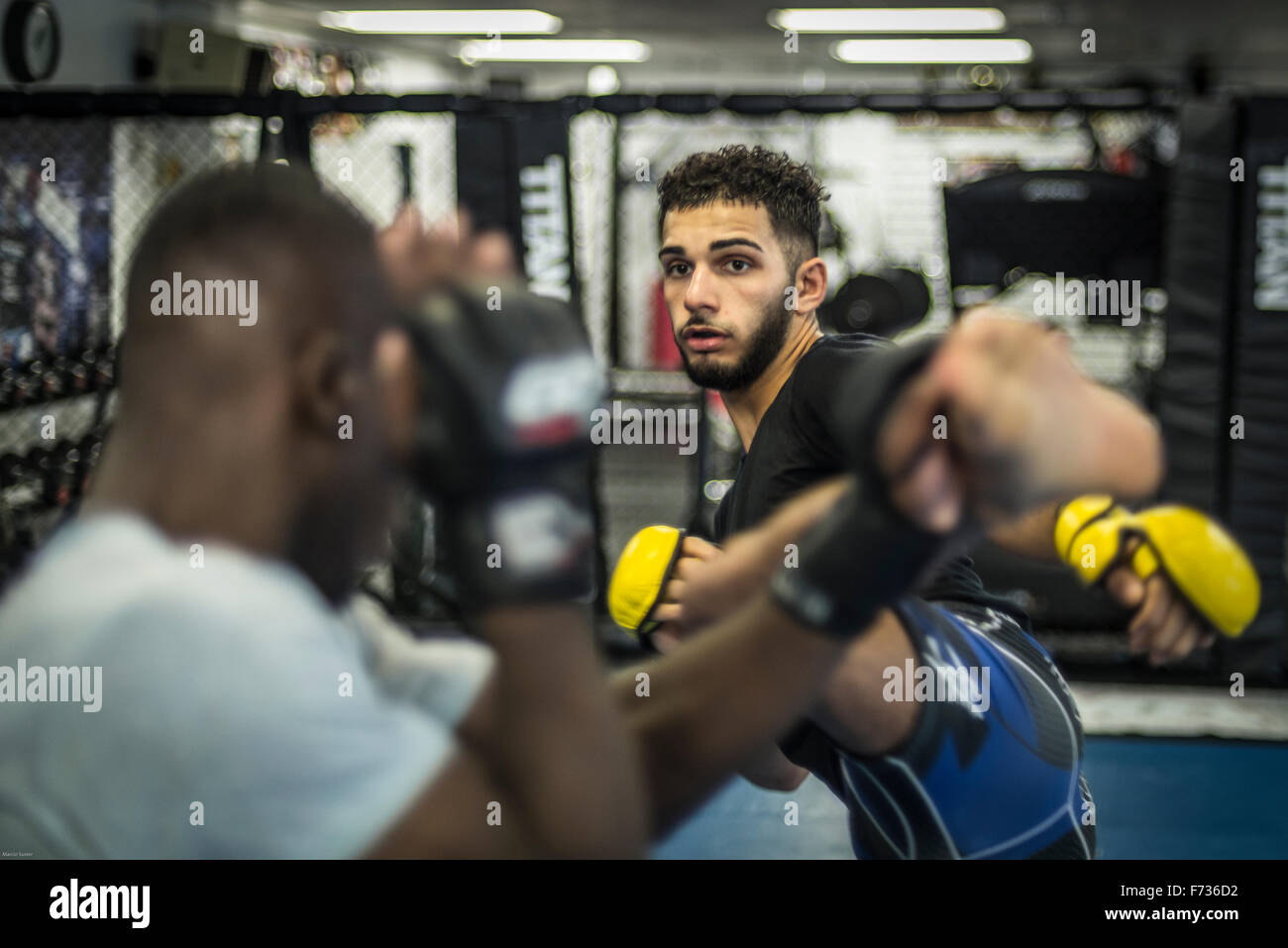 MMA fighter training Stock Photo - Alamy