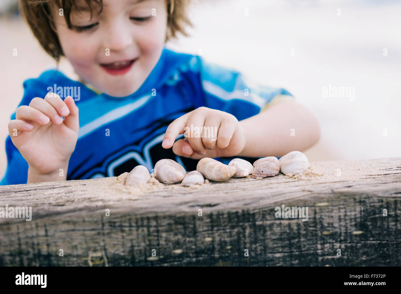 A boy at the beach counting shells lined up on a breakwater Stock Photo ...
