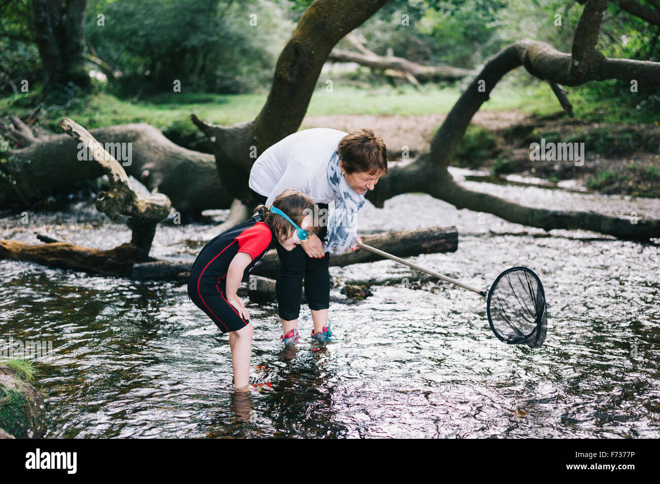 Woman wading in river hi-res stock photography and images - Alamy