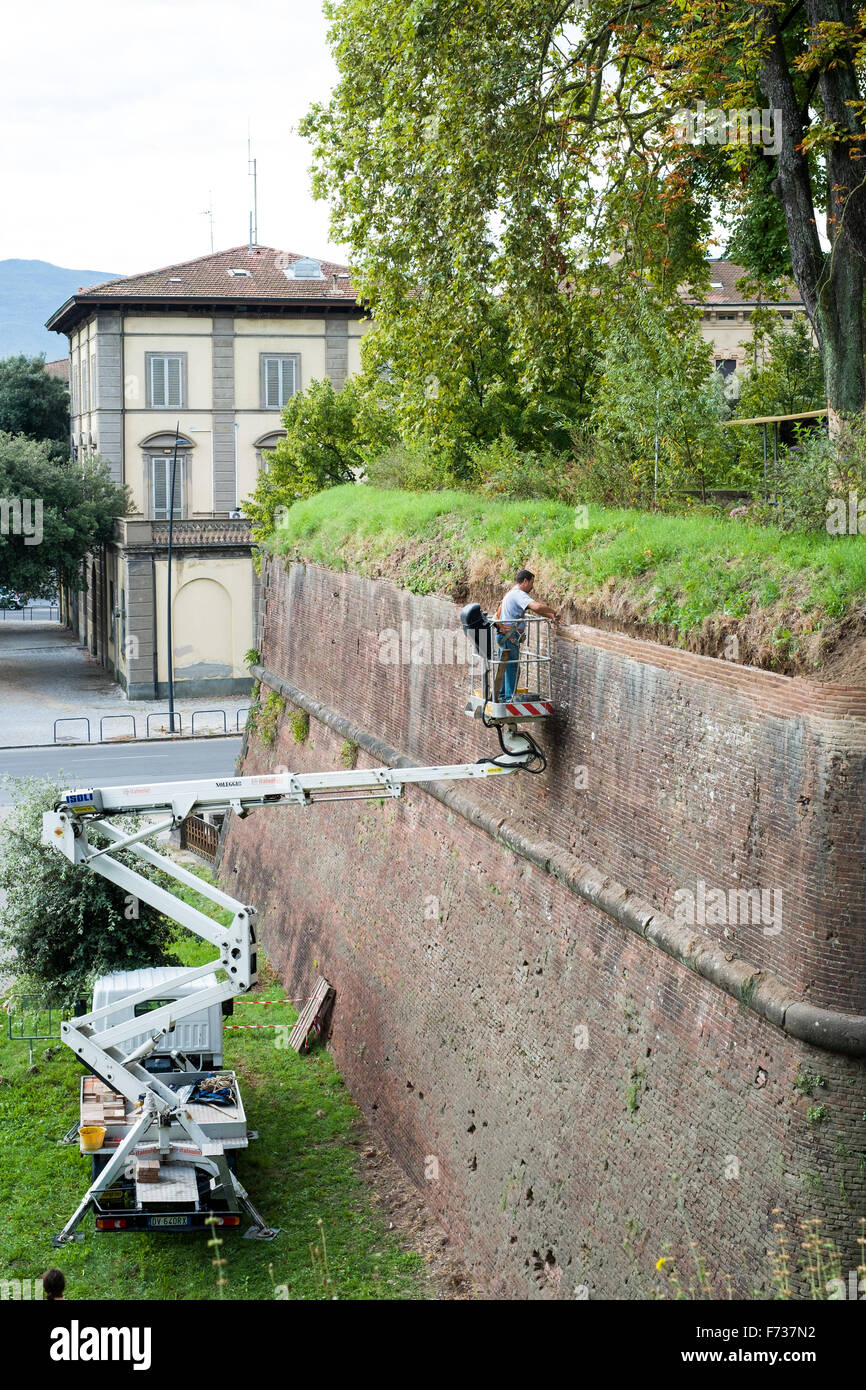 Mending the medieval walls in Lucca, Italy Stock Photo - Alamy