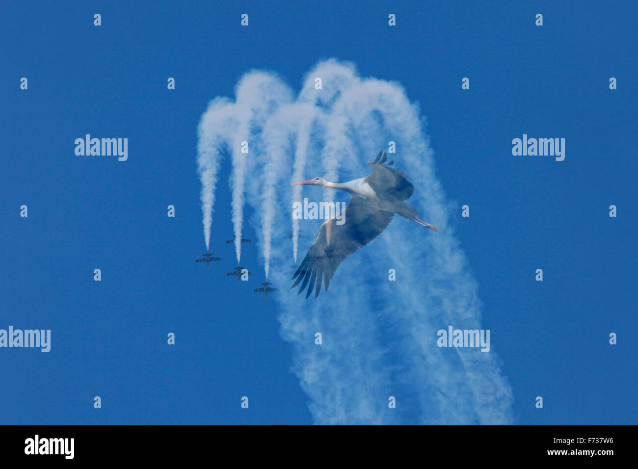 Airplane flying formation hi-res stock photography and images - Alamy