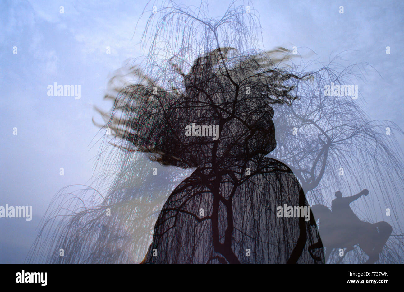 Double Exposure Man Tree High Resolution Stock Photography and Images ...