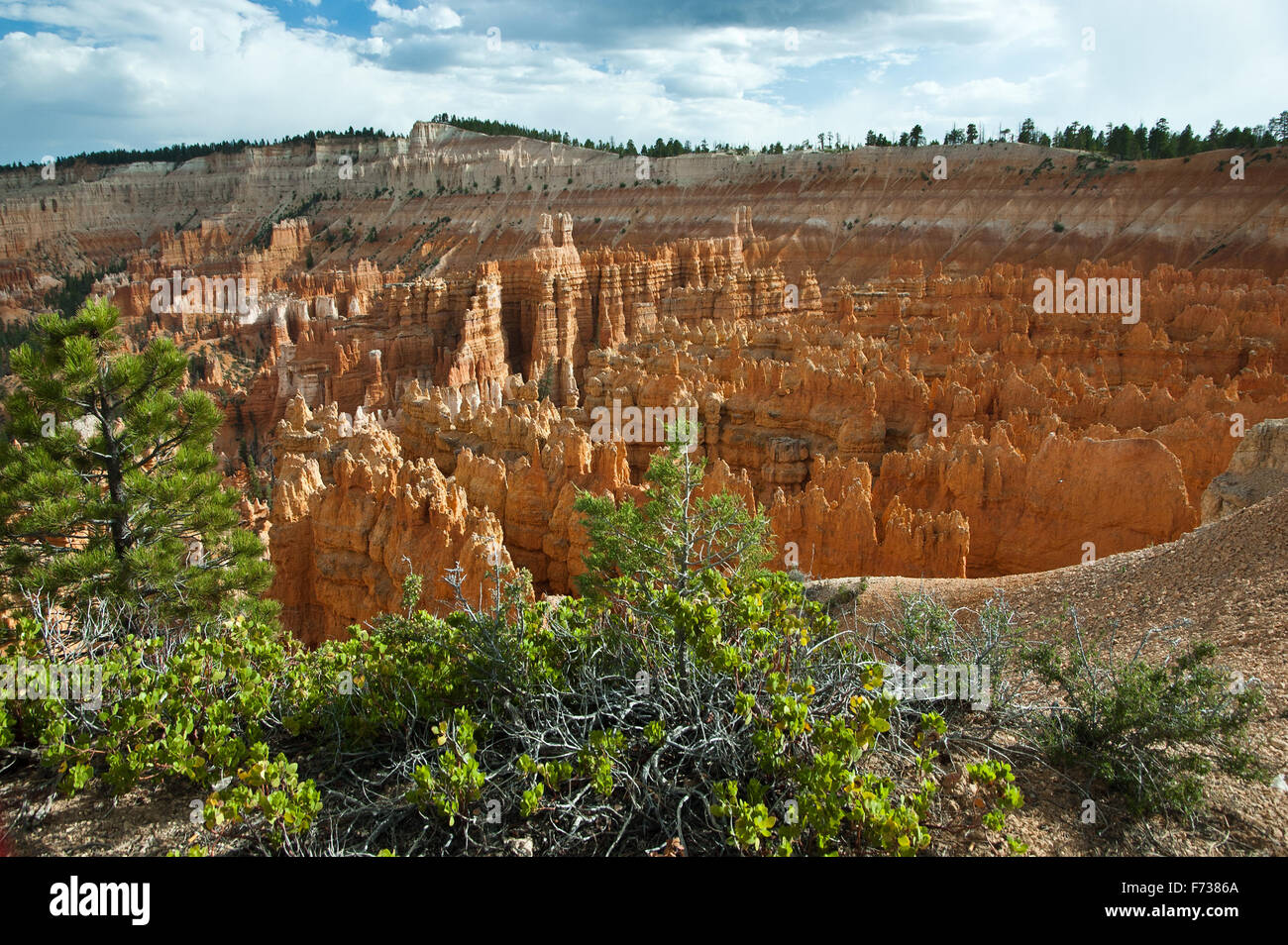 Canyon pillars hi-res stock photography and images - Alamy