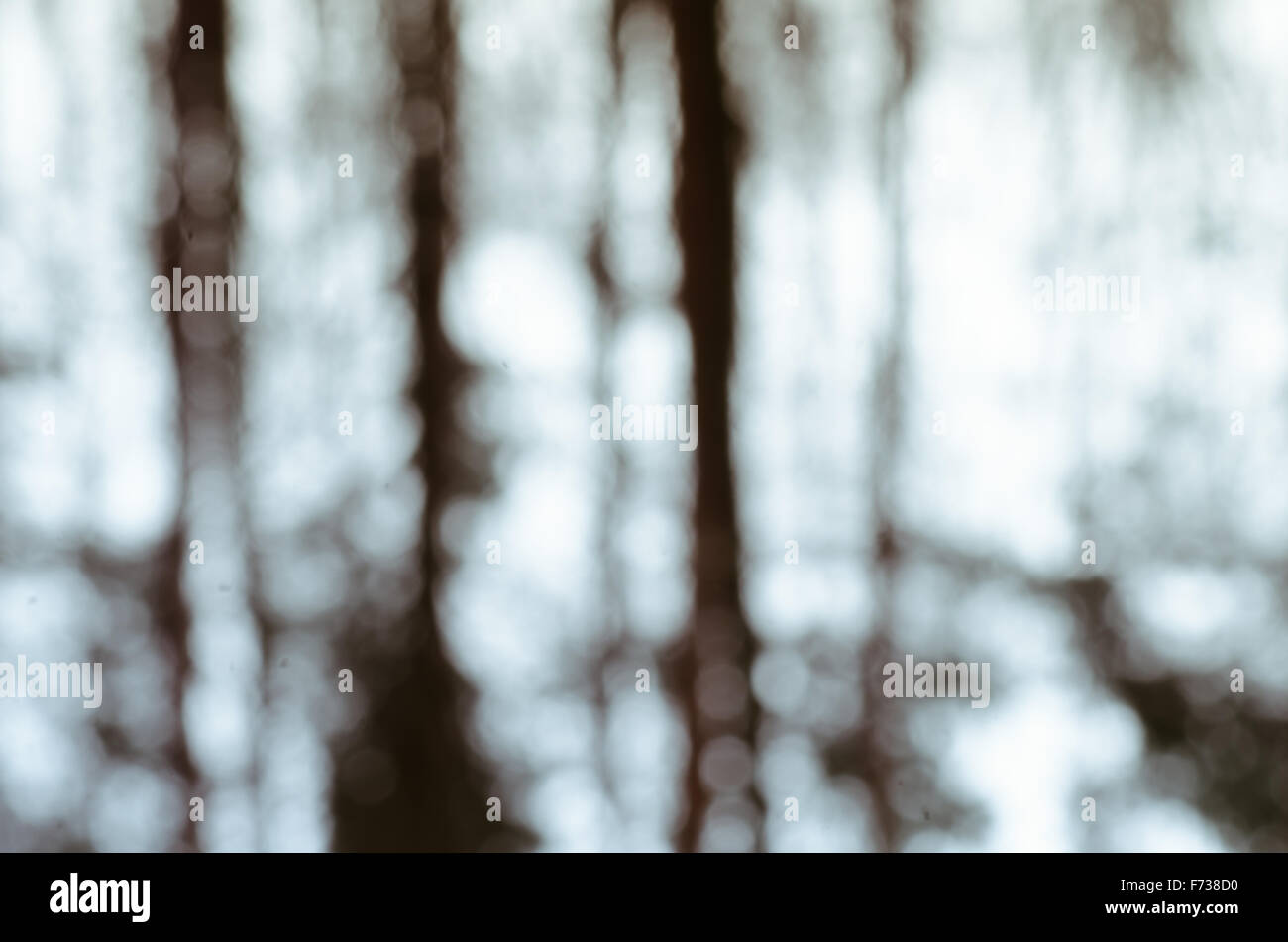 abstract blurred trees in forest background Stock Photo - Alamy