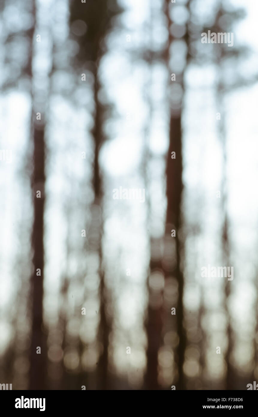 abstract blurred trees in forest background Stock Photo - Alamy