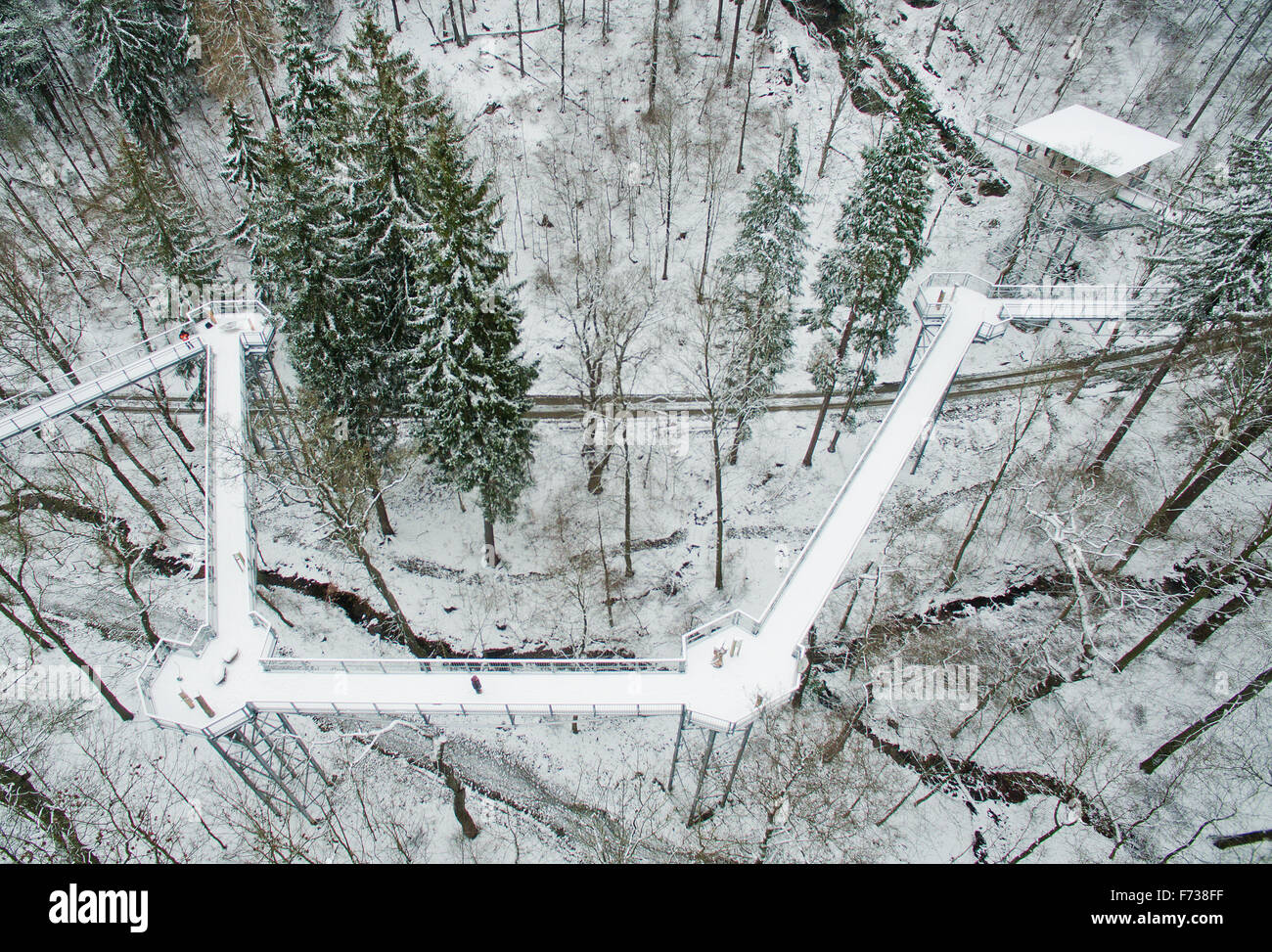 A view of the snow-covered elevated canopy walkway in Bad Harzburg ...