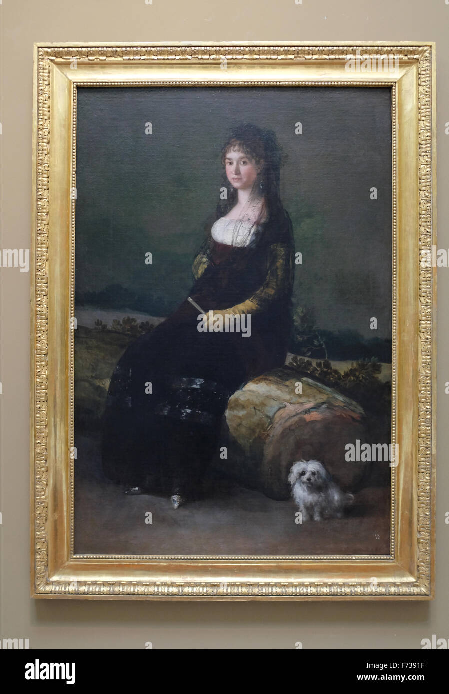 Francisco de goya valencia hi-res stock photography and images - Alamy